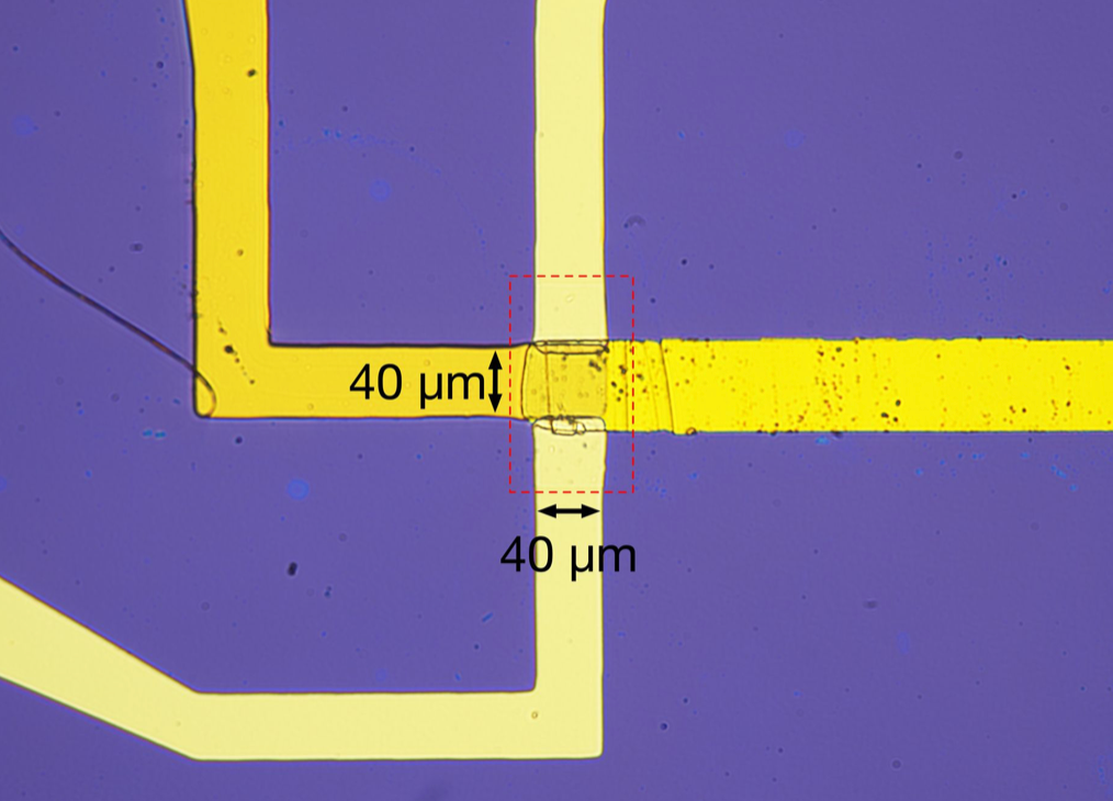 Novel Devices - Physical Computation Laboratory